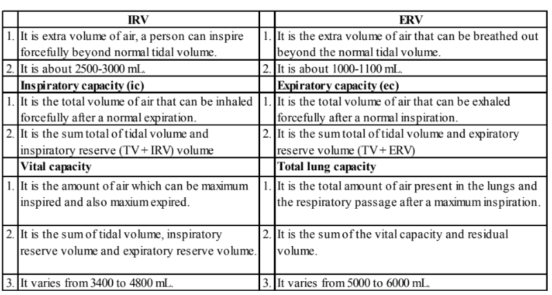 Distinguish between (a) IRV and ERV (b) Inspiratory capacity and ...