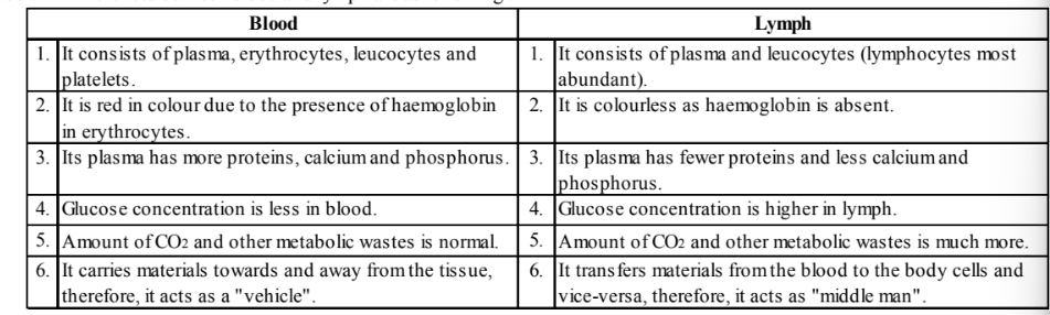 What is the difference between lymph and blood?