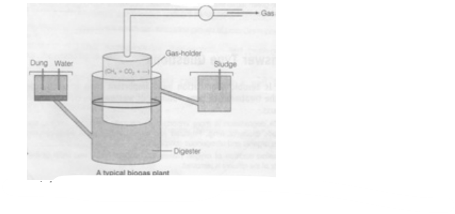 Draw a diagrammatic sketch of biogas plant and label its various ...