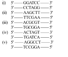 Collect 5 examples of palindromic DNA sequences by consulting your ...