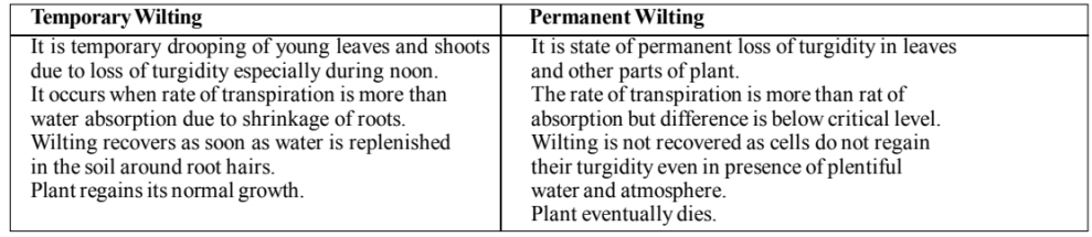 Plants show temporary and permanent wilting. Differentiate between the ...
