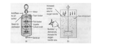 Illustrate the design of a bioreactor. Highlight the difference between ...
