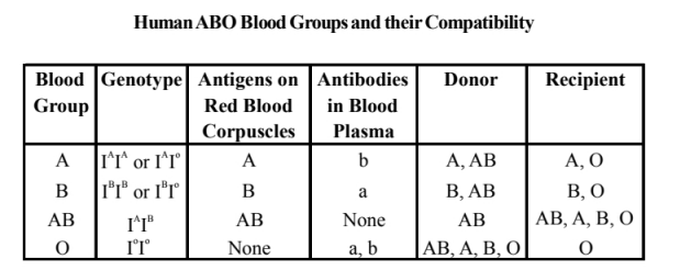 Explain different types of blood groups and donor compatibility by ...