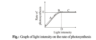 Figure shows the effect of light on the rate of photosynthesis. Based ...
