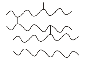 Identify the type of polymer given in the following figure.