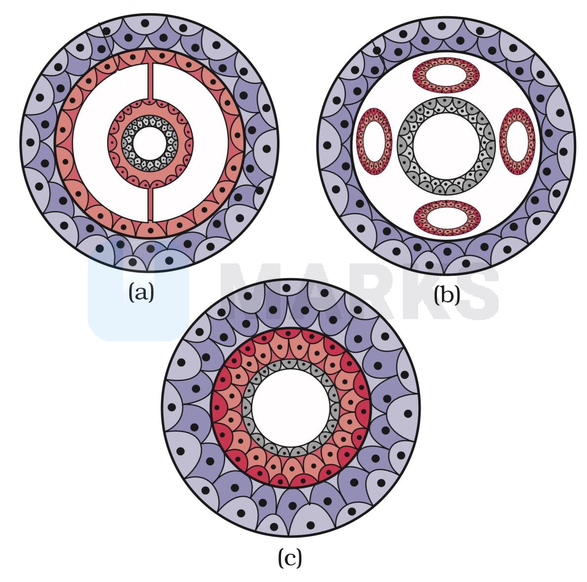 What does A, B and C represent here respectively.