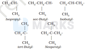 What are the common names for branched butyl groups?