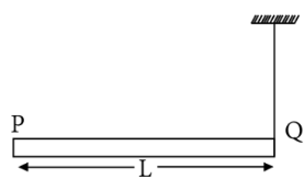A rod PQ of mass M and length L is hinged at end P . The rod is kept horizontal by a massless ...