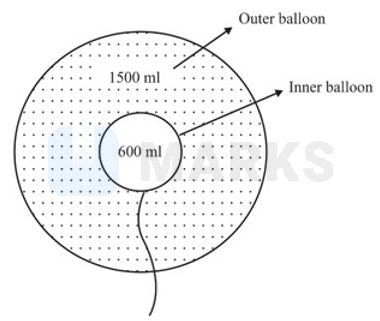 Two inflated balloons I and II (thin skin) having volume 600 mL and ...
