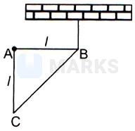 A right triangular plate ABC of mass m is free to rotate in the ...