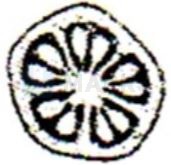 The placentation in carnation flower is correctly displayed by which ...