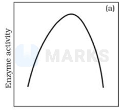 The following graph represents enzyme activity with changing