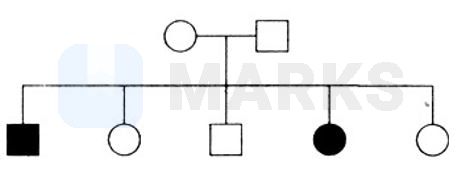 Given ahead is a pedigree chart of a family with five children. It ...