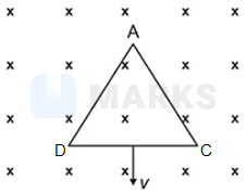 An equilateral triangular loop ADC having some resistance is pulled with a constant velocity v ...