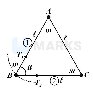 An equilateral triangular frame is made of three thin massless rods ...