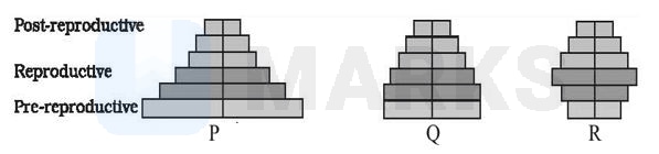 Various age pyramids (P-R) for human population are shown below. Select ...