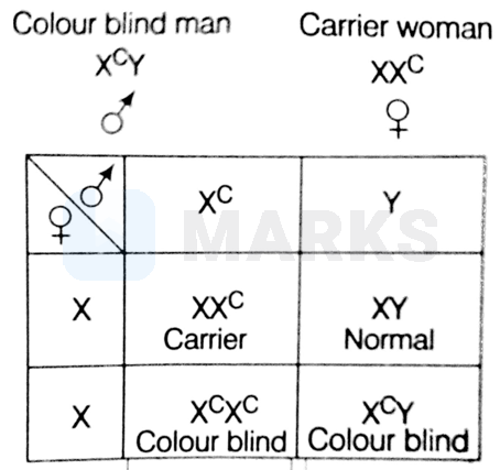 A colour-blind man has a colour-blind sister but a normal brother ...