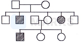 Study the pedigree chart given below. What does it show?