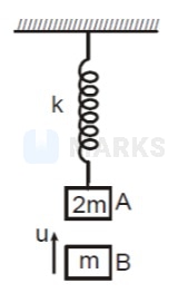 A block A of mass 2 m is hanging from a vertical massless spring of ...