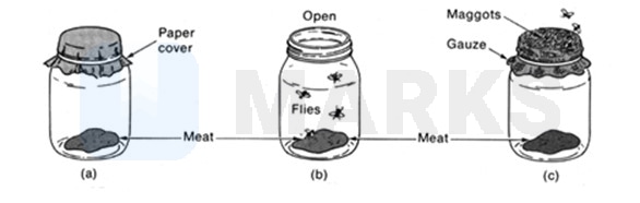 Observe the picture below and state the name of the scientist/s who ...