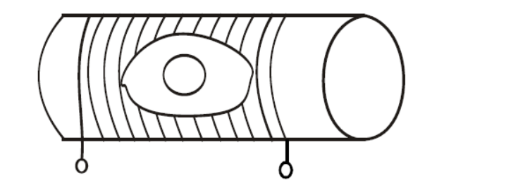 A circular coil with a cross-sectional area of 4 cm 2 has 10 turns. It ...