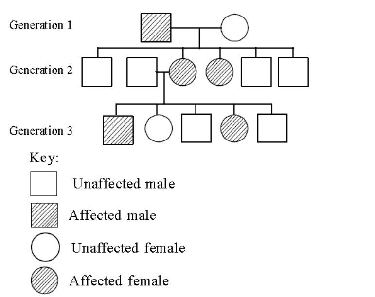 Given Below Is A Pedigree Chart Showing The Inheritance Of A Certain 6144