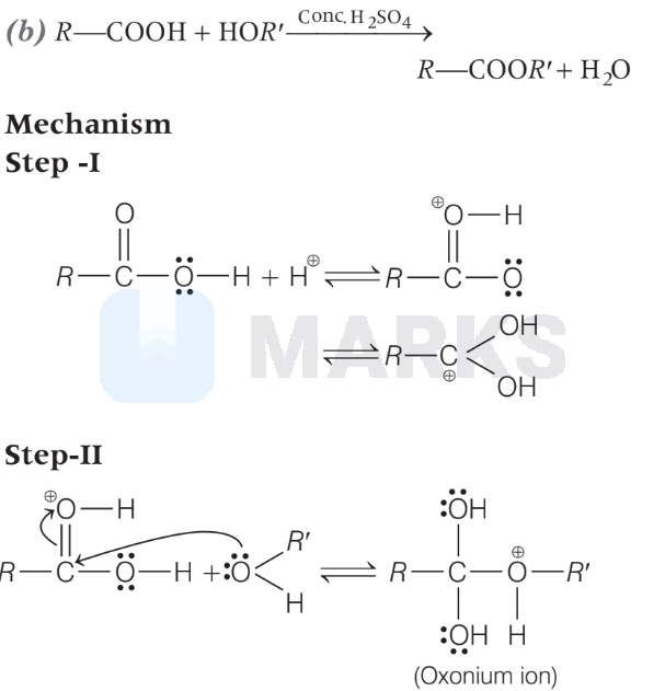 The following species are involved in the formation of an ester from a ...