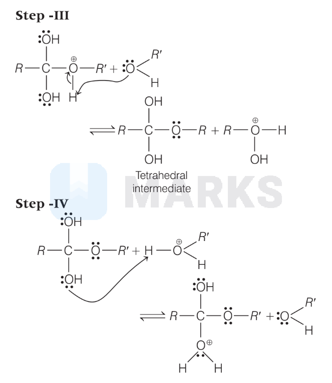 The following species are involved in the formation of an ester from a ...