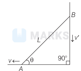 A thin uniform rod of length L is resting against a wall and the floor ...