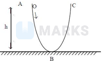 A hollow sphere rolls down a parabolic path ABC from a height ' h ' as ...