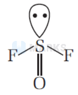The species having pyramidal shape is