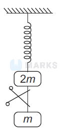 System shown in figure is in equilibrium and at rest. The spring and ...