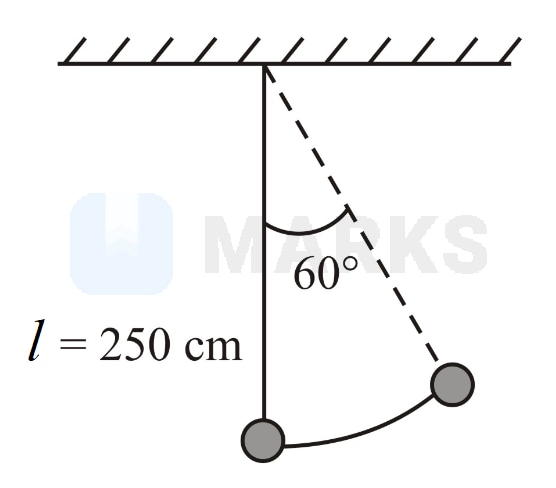 A pendulum is suspended by a string of length 250 cm . The mass of the ...