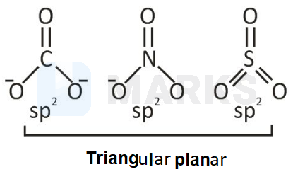 The group having triangular planar structure is: