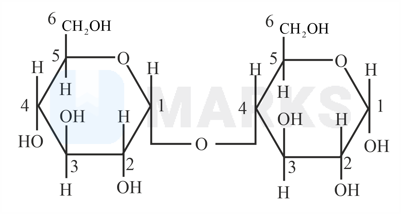 Given below are two statements. Statement I: Maltose has two α - D ...