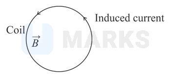 A coil is placed in a magnetic field B → as shown below : A current is ...