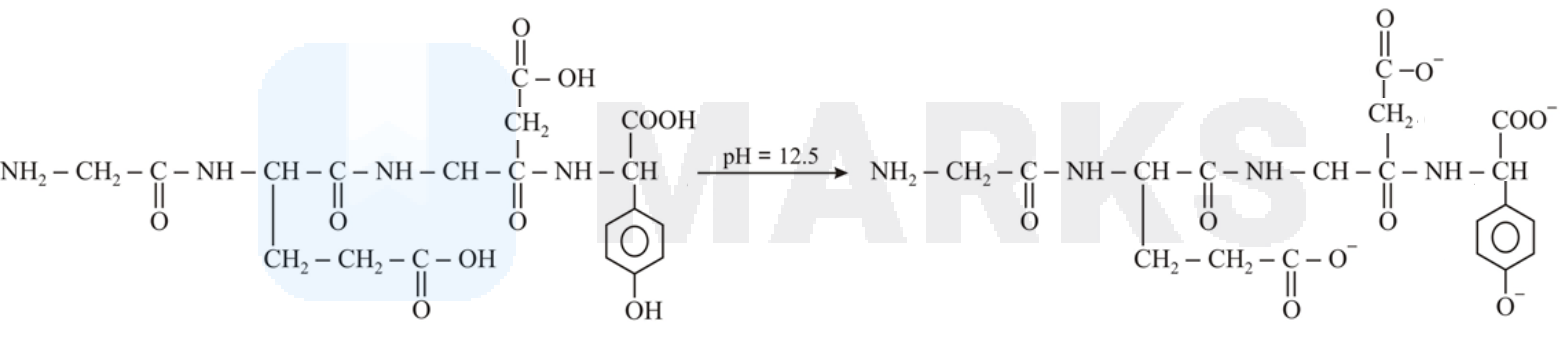 The total number of negative charge in the tetrapeptide, Gly-Glu-Asp ...