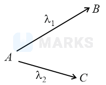 A radioactive nucleus can decay by two different processes. Half-life ...