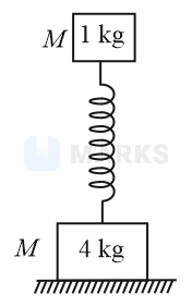 Two bodies of masses 1 kg and 4 kg are connected to a vertical spring, as shown in the figure ...