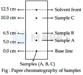 Using the given figure, the ratio of \(\mathrm{R}_f\) values of sample \(\mathrm{A}\) and sample ...