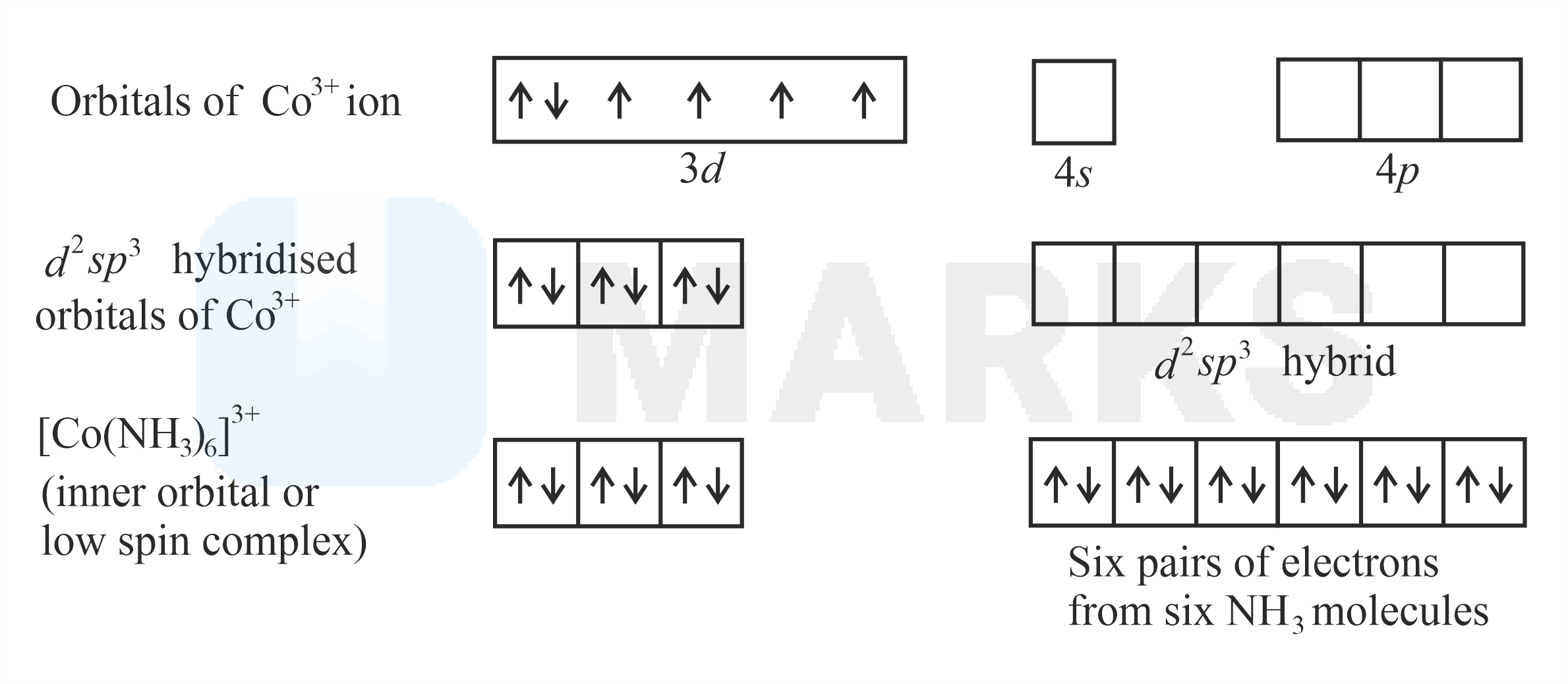 The hybridization and magnetic behaviour of cobalt ion in [ Co ( NH 3 ...