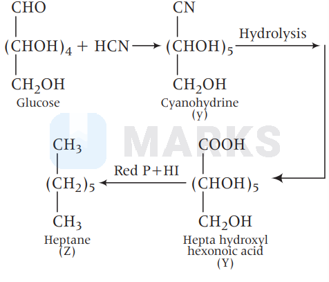 Glucose HCN X Hydrolysis Y Red P + HI Z IUPAC name of Y and Z