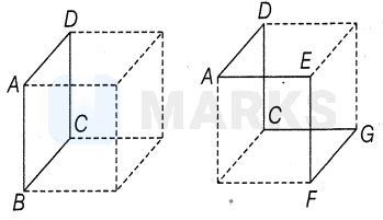The current in flowing along the path A B C D of a cube (shown in the ...
