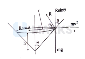 A particle rotates in horizontal circle of radius 'R' in a conical ...