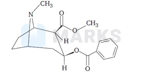 Identify the molecules (a) and (b) shown below and select the right ...