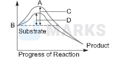 The figure given below shows the conversion of a substrate into product ...