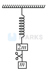 System shown in the figure is in equilibrium and at rest. The spring ...